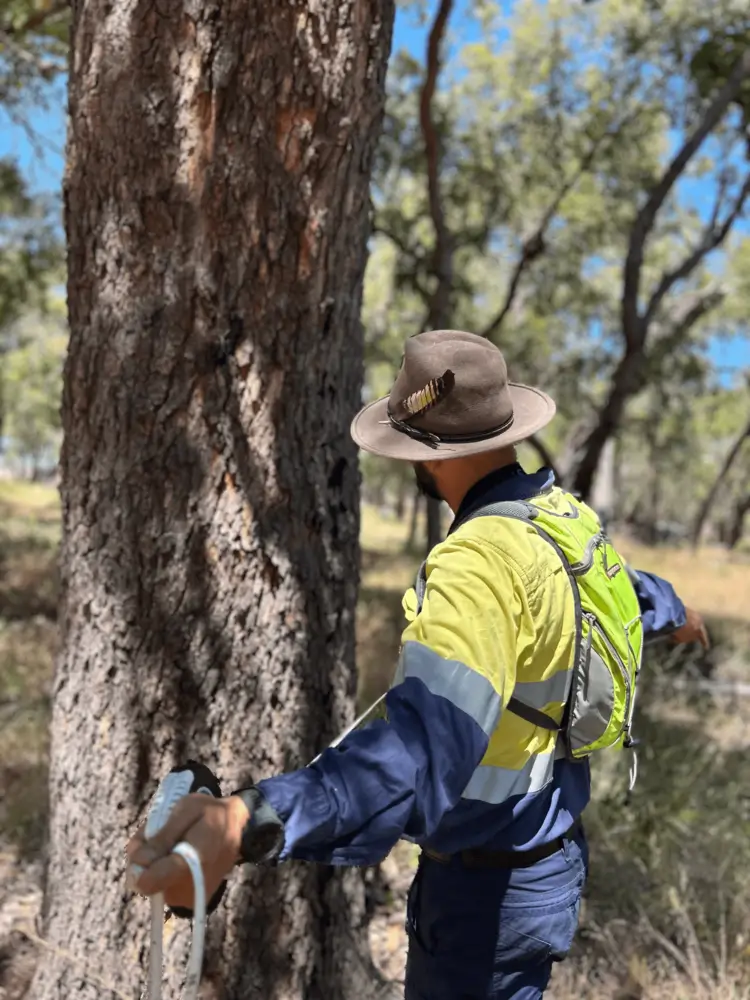 Environmental Impact Assessment WA | SW Environmental