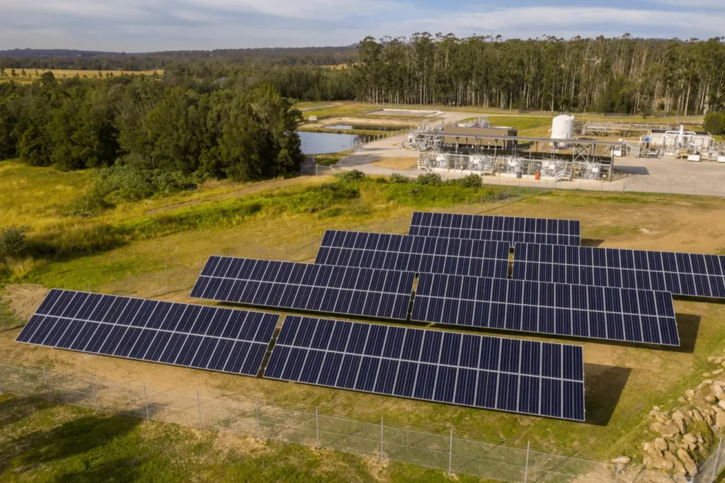 Renewable Energy Environmental Consultant WA | SW Environmental